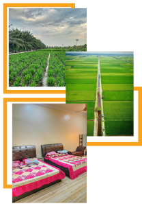 Paddy House Homestay