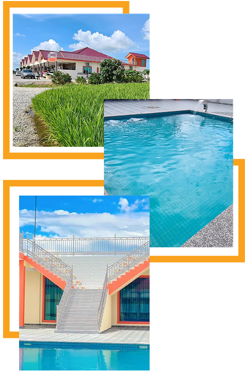 Paddy House Homestay